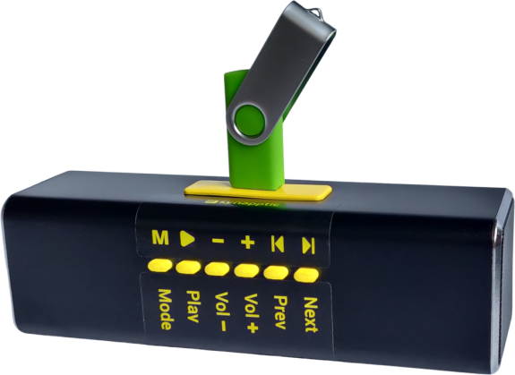 Accessories - Synapptic